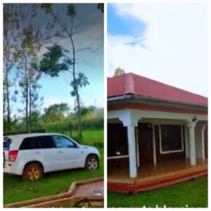 Akothee Shares Photos of a House a She Built for Her Parents and Cars ...